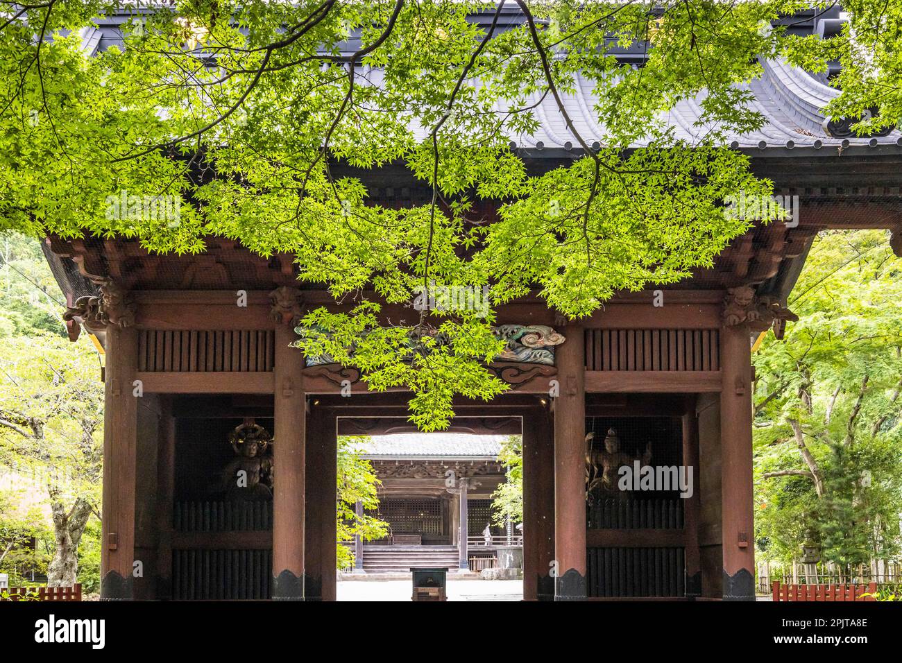 Oze national park, Katashina, Gunma, Japan, East Asia, Asia Stock Photo ...