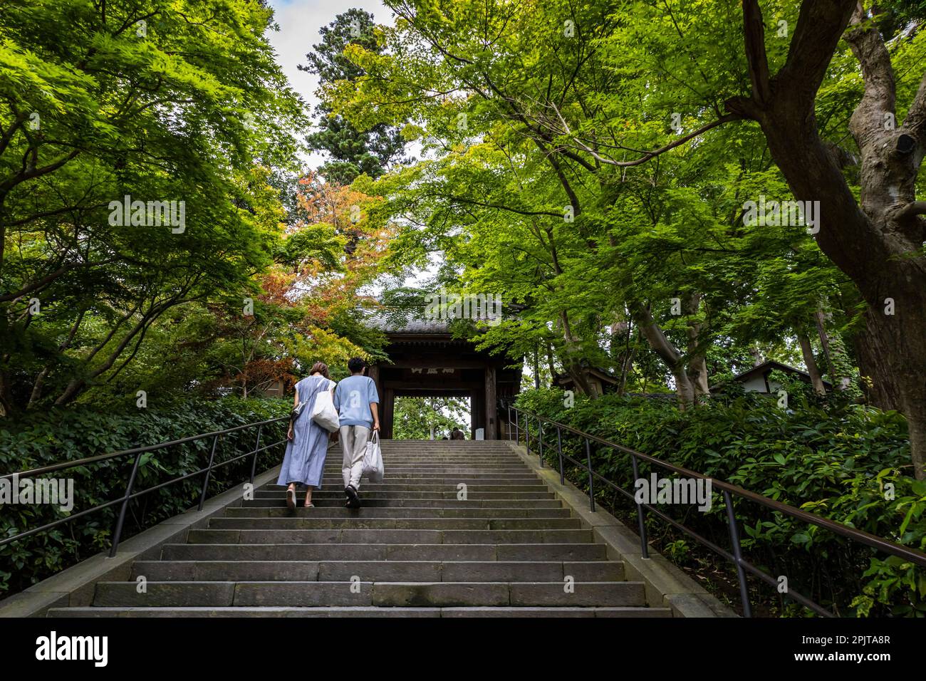 Oze national park, Katashina, Gunma, Japan, East Asia, Asia Stock Photo ...
