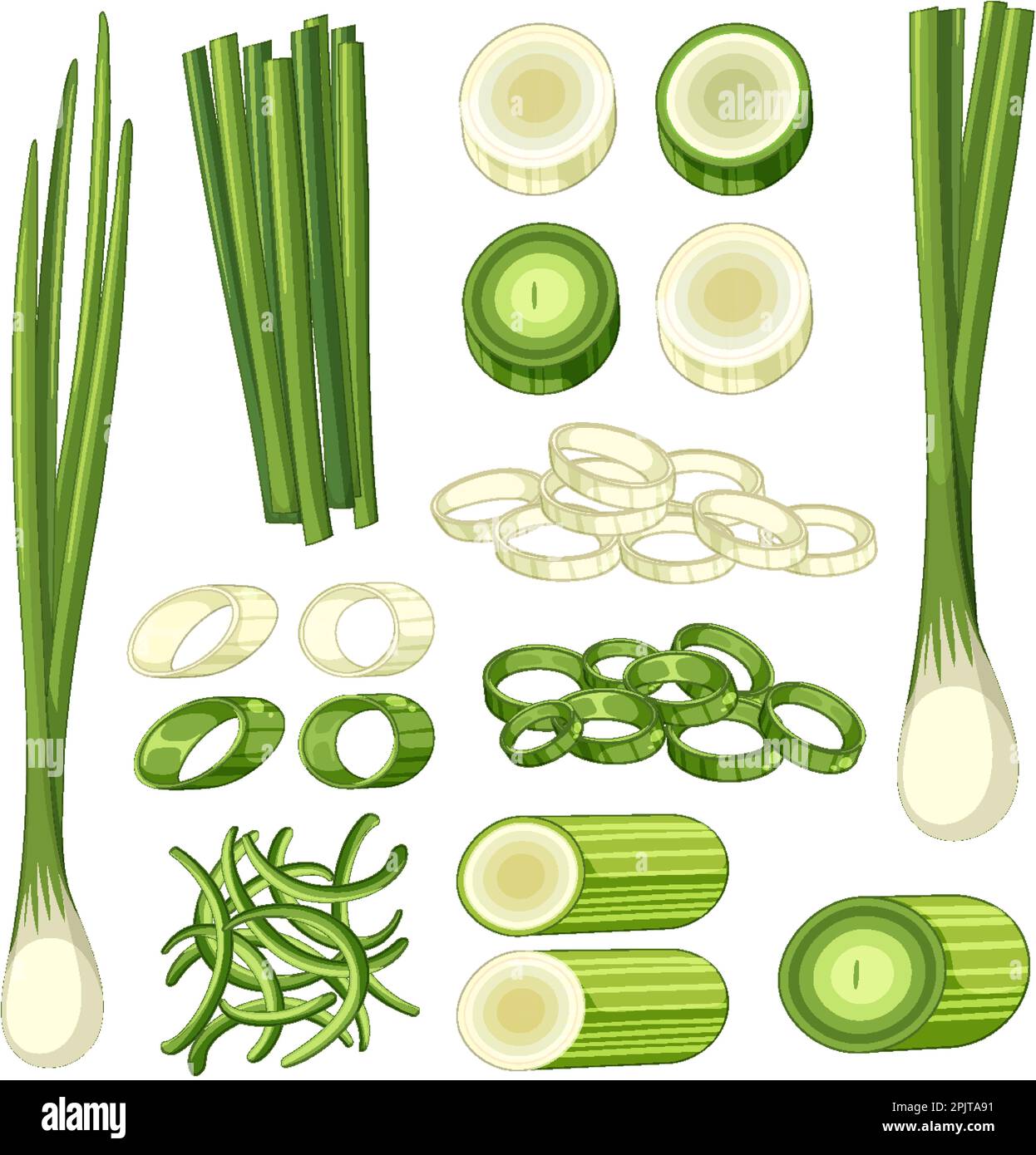 Cartoon spring onion isolated illustration Stock Vector Image & Art - Alamy