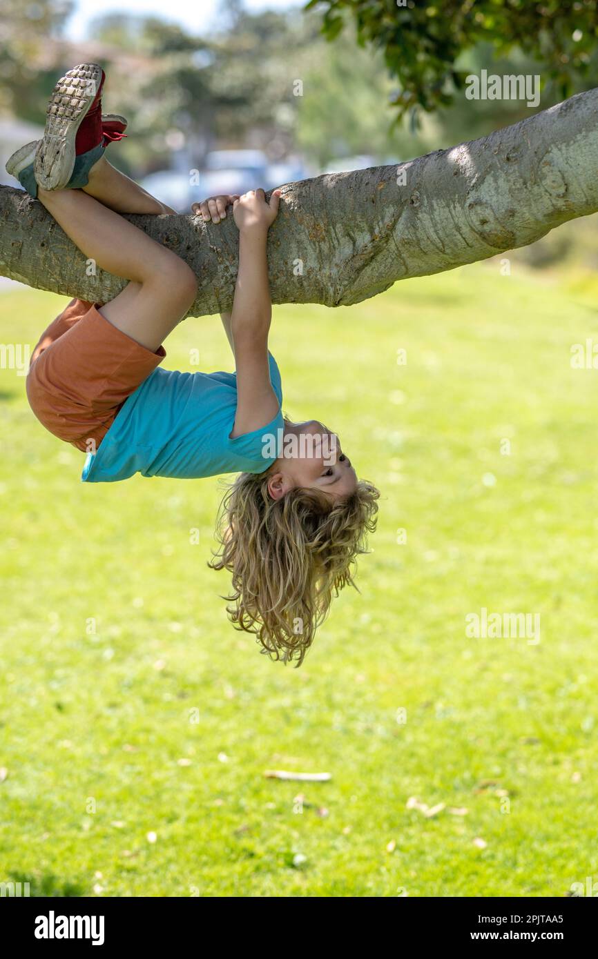 Child hugging a tree branch. Little boy kid on a tree branch. Kid ...