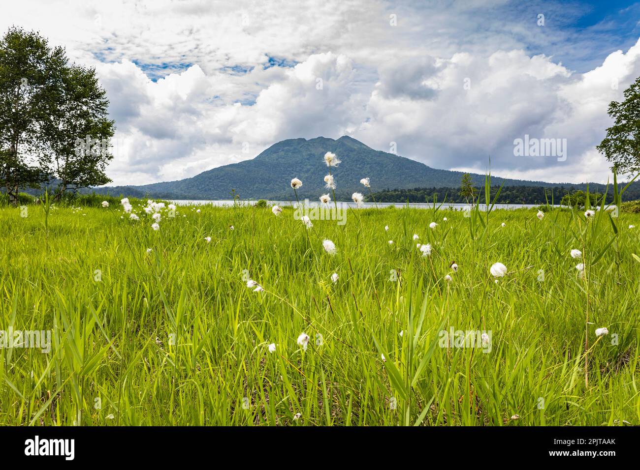 Mt. Hiuchigatake from Oze-numa(Oze pond), Ozegahara marshlands, Oze ...