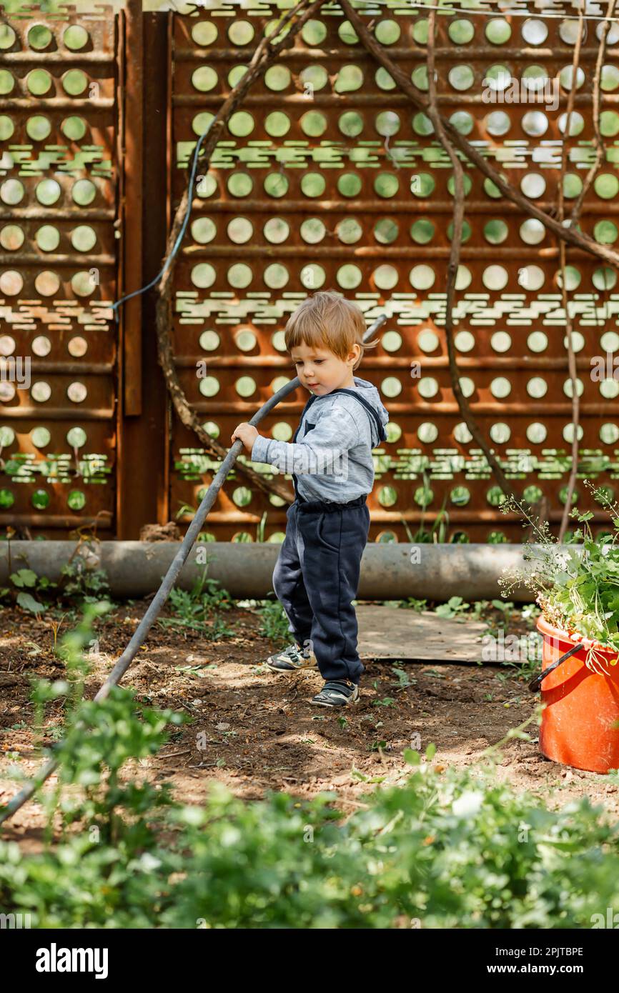 Inquisitive toddler is exploring objects in the backyard Stock Photo ...