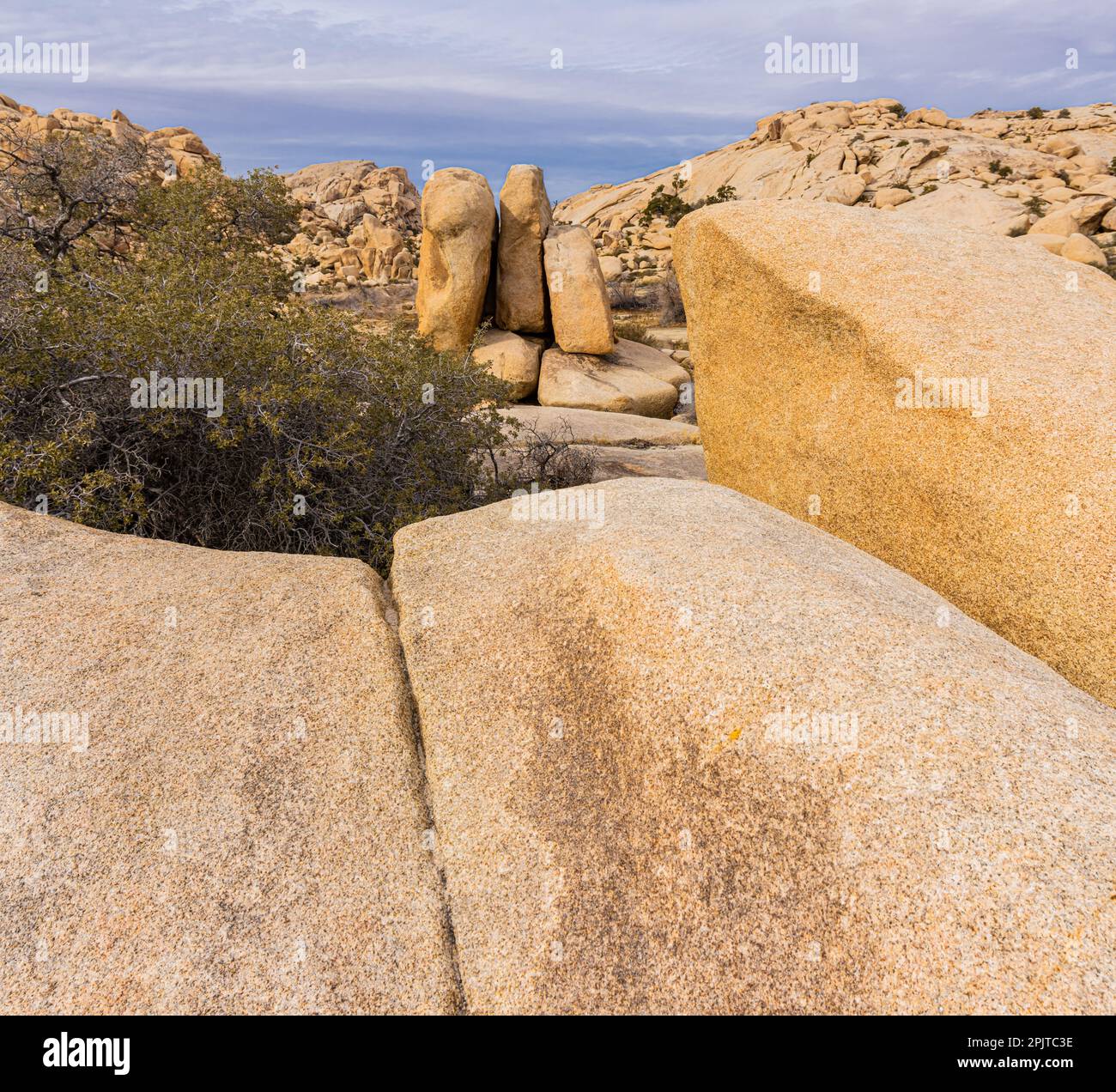Monzogranite Rock Formations on The Barker Dam Trail, Joshua Tree ...