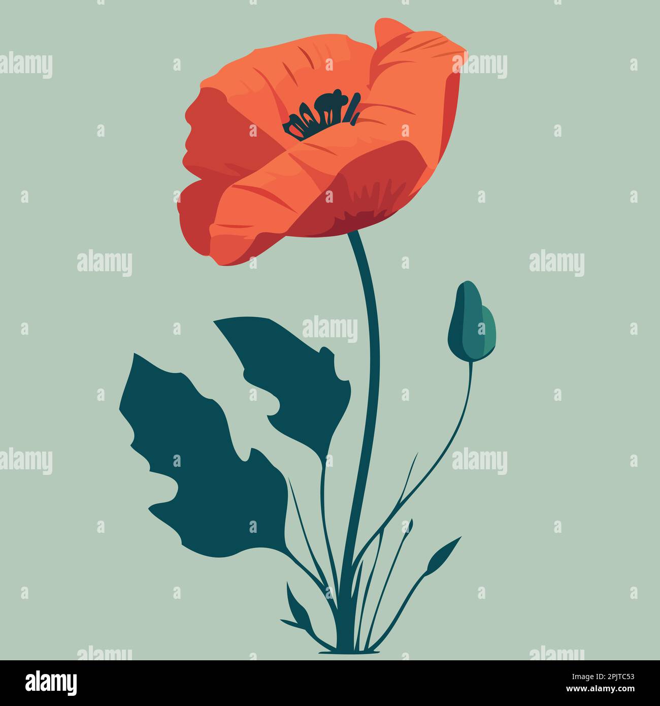 One red poppy flower minimalist vector illustration Stock Vector Image ...