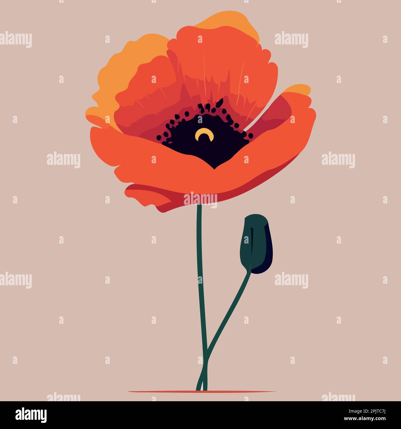 One red poppy flower minimalist vector illustration Stock Vector Image ...