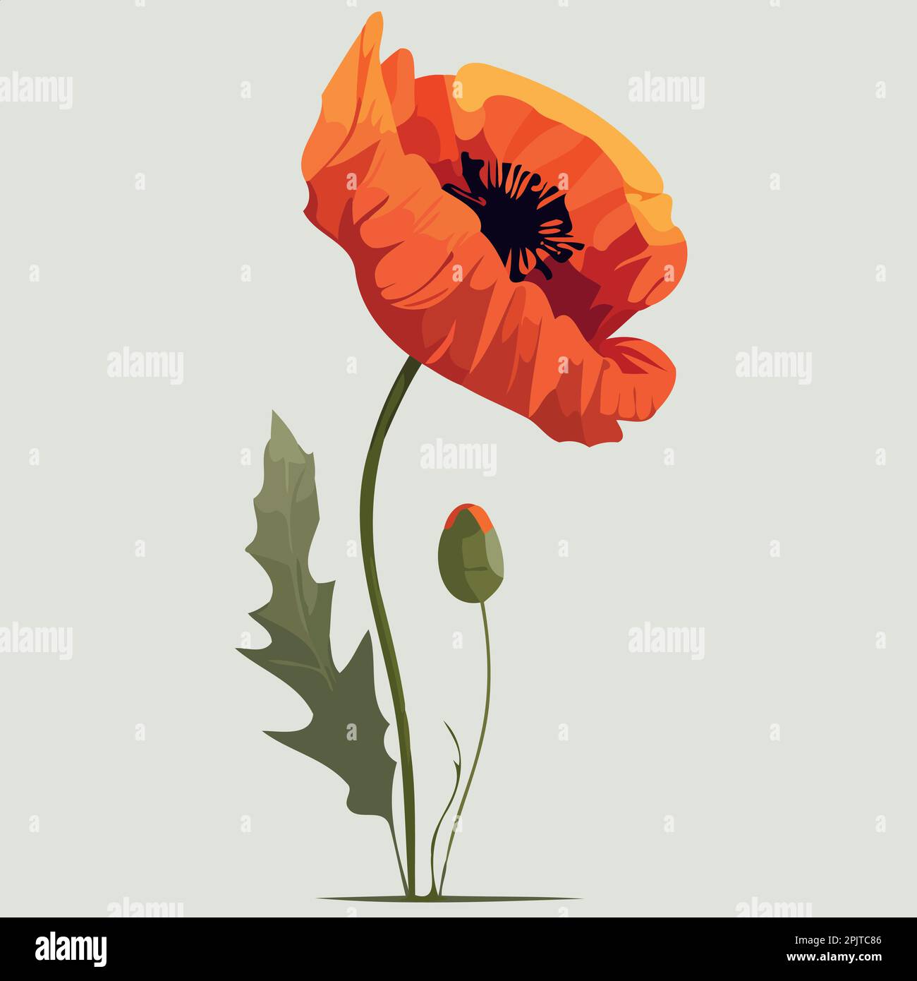 One red poppy flower minimalist vector illustration Stock Vector Image ...