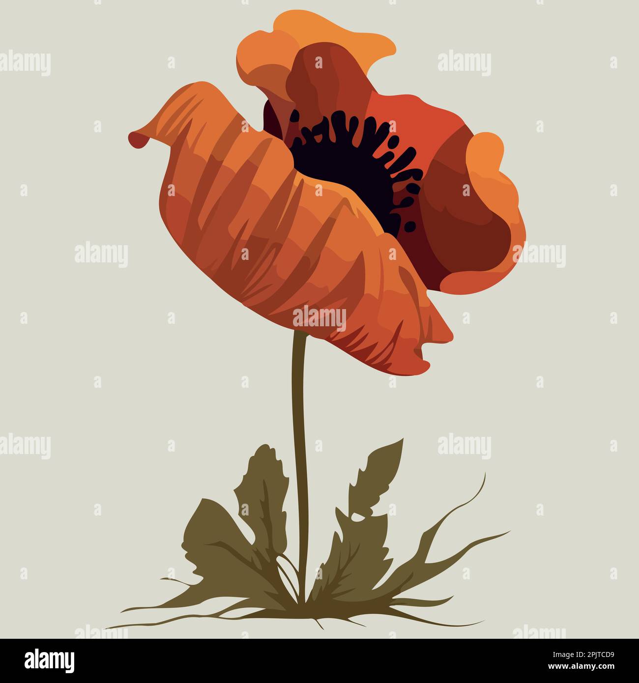 One red poppy flower minimalist vector illustration Stock Vector Image ...