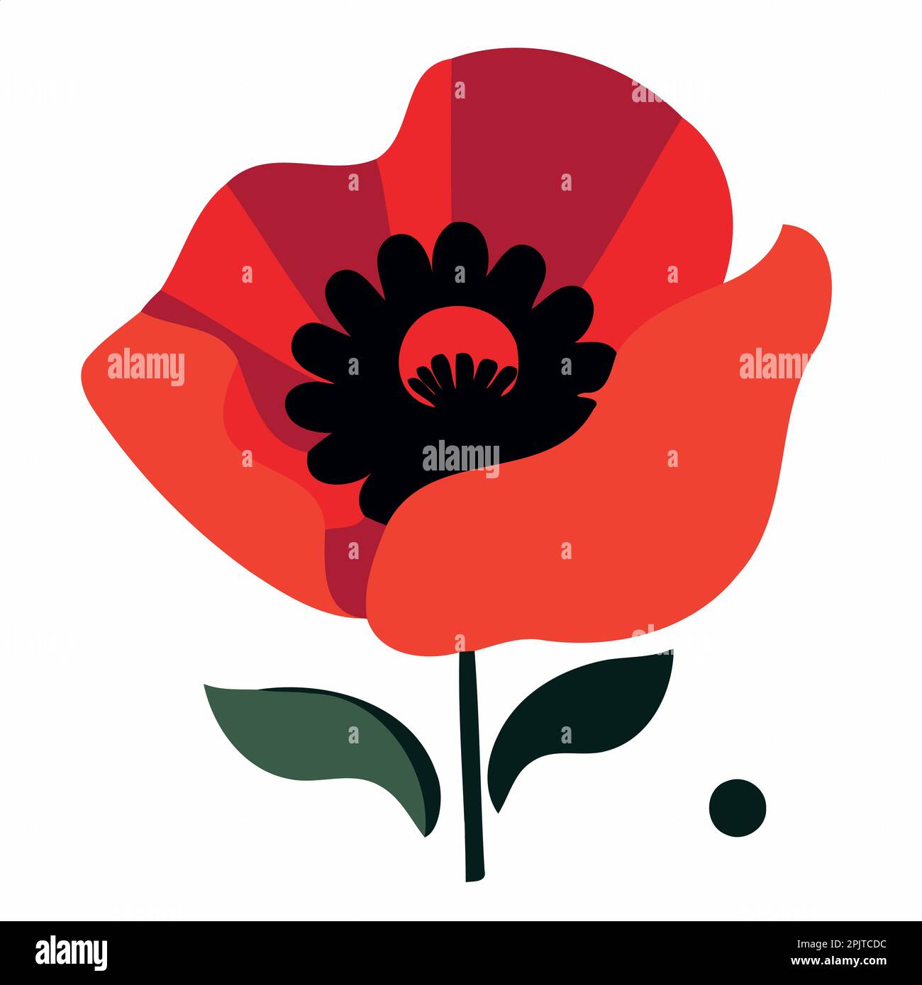 One red poppy flower minimalist vector illustration Stock Vector Image ...