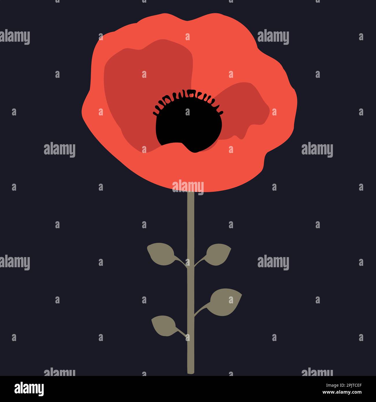 One red poppy flower minimalist vector illustration Stock Vector Image ...