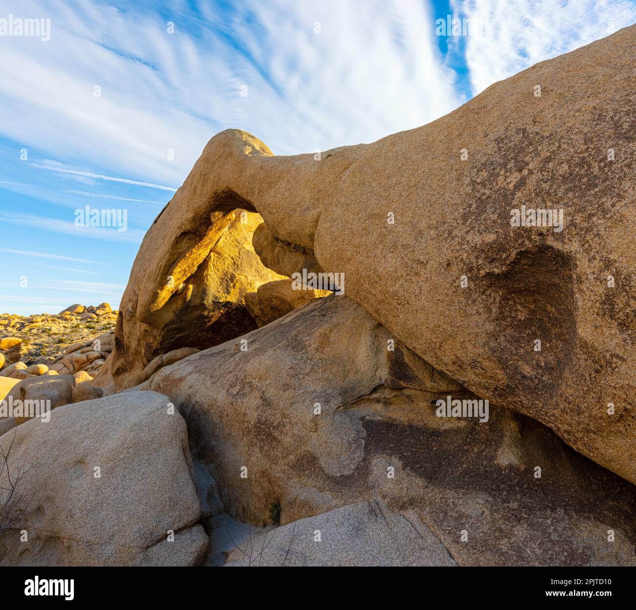 Natural tree arch hi-res stock photography and images - Alamy