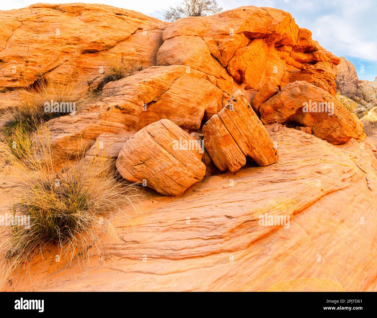 Colorful Rock Formations on The Prospect Trail, Valley Of Fire State ...