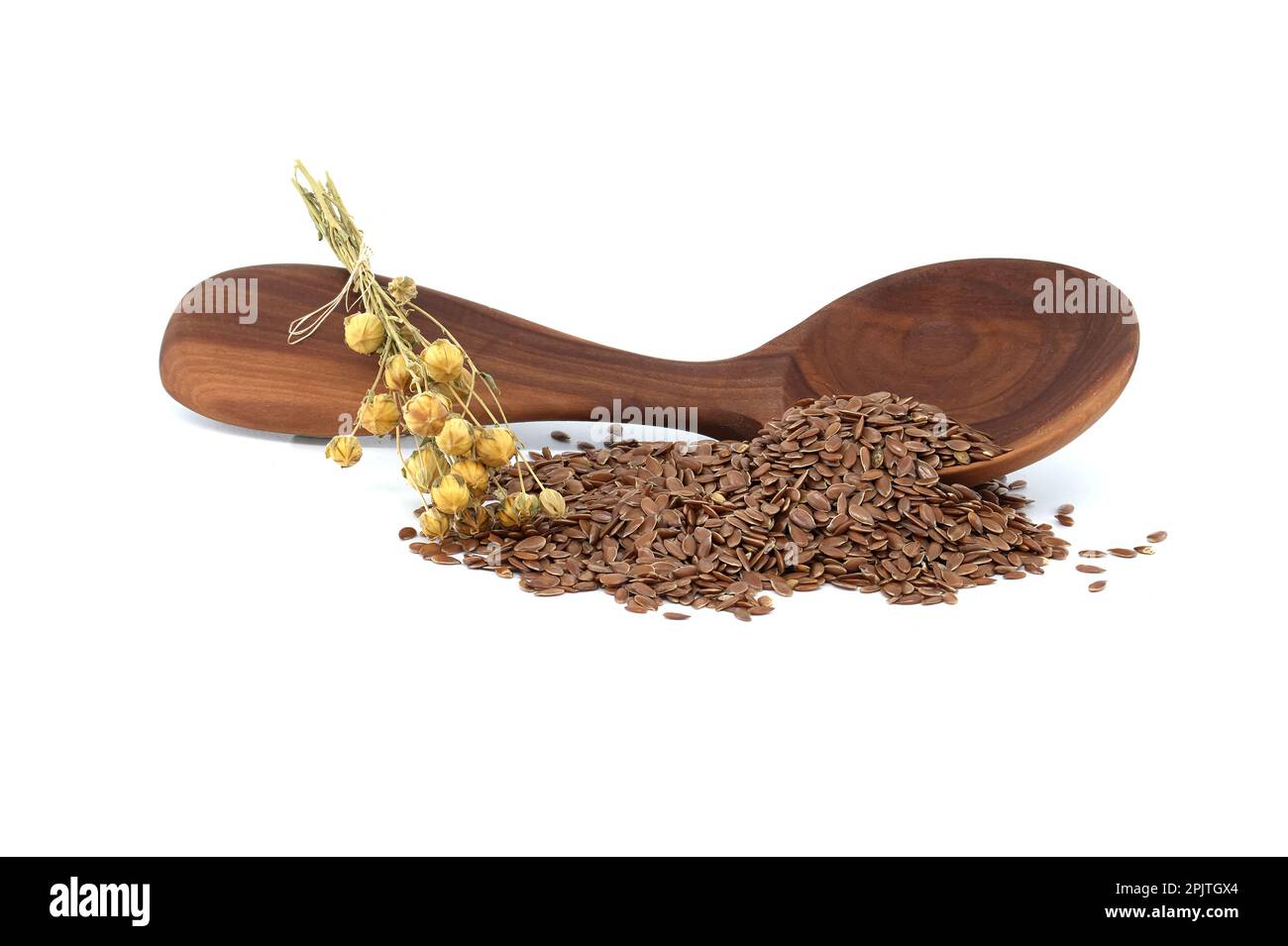 Wooden spoon full of flax seeds and bunch of flax plants isolated on white background. Linum ...