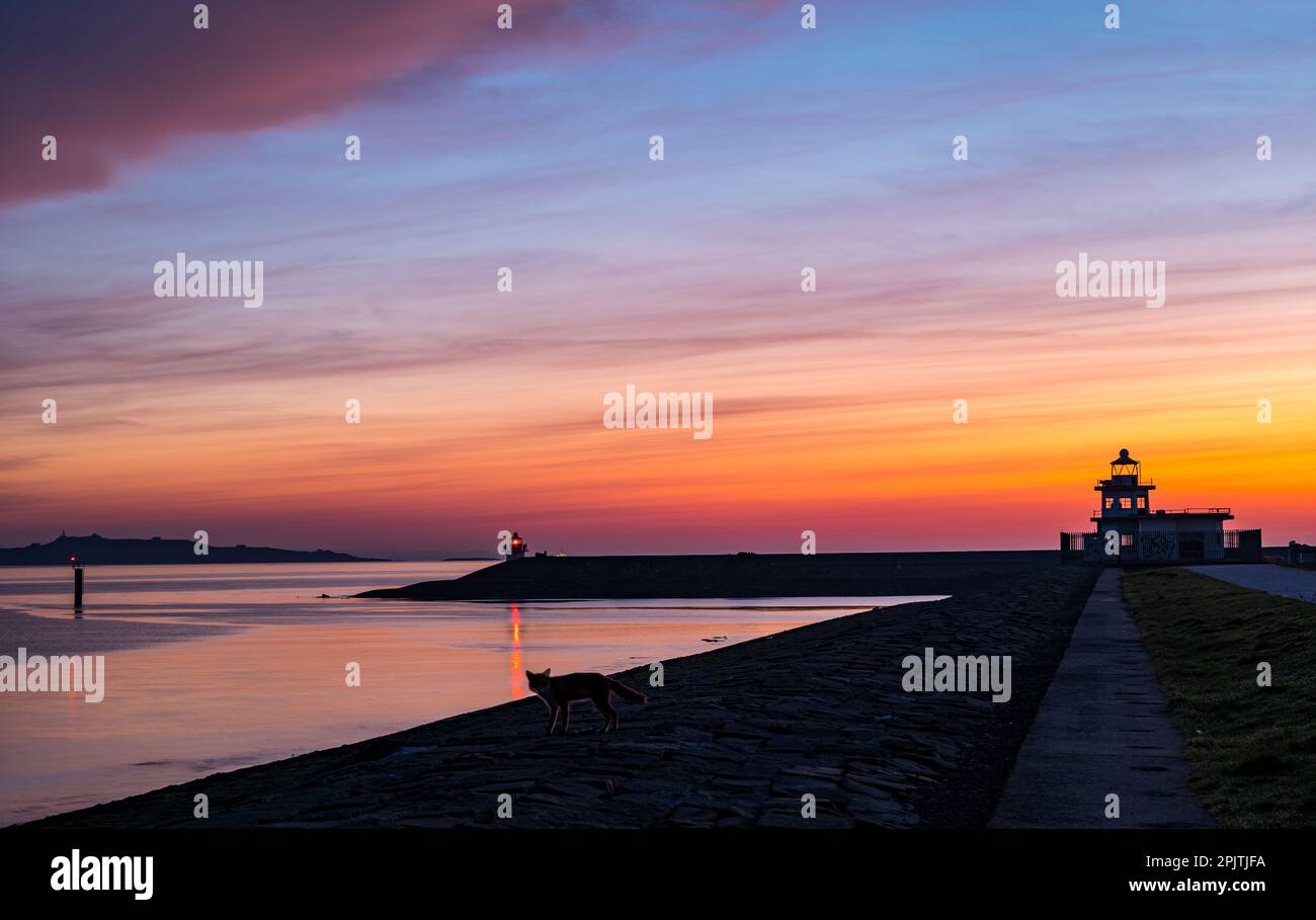 Sally in silhouette hi-res stock photography and images - Alamy