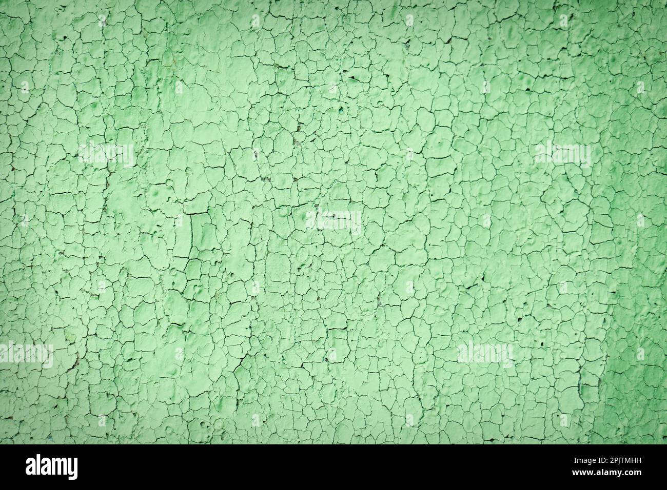 Light Green Wall Texture