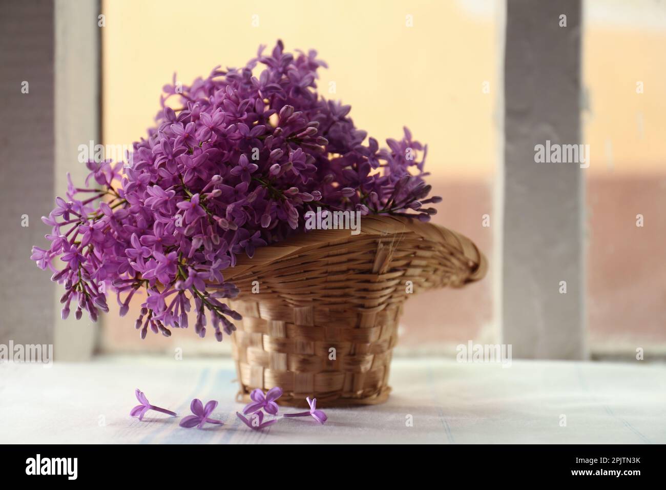Beautiful lilac flowers in wicker basket on window sill indoors Stock ...