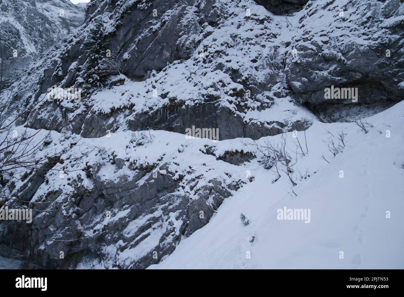A stunning winter scene of a snow-covered hillside, with a breathtaking ...