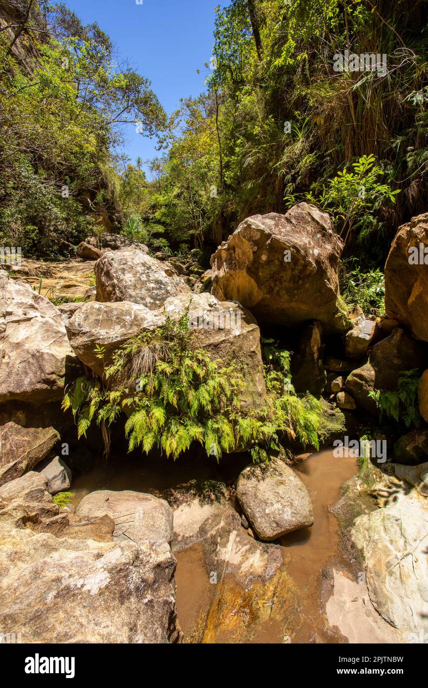 Isalo National Park in Ihorombe Region. Wilderness landscape with water ...