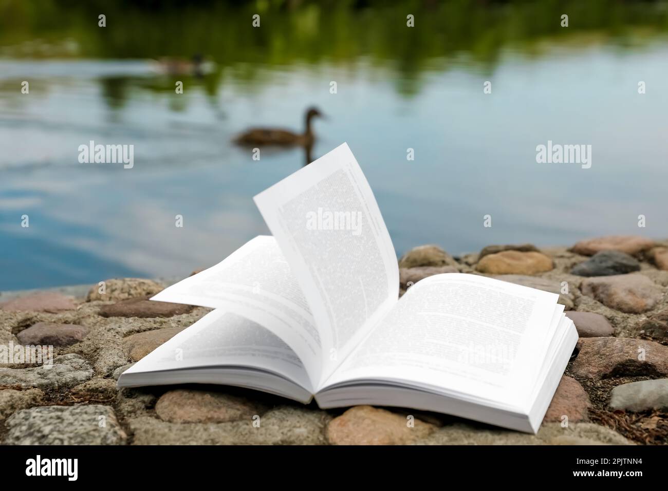 Open book on rocky shore near river Stock Photo - Alamy