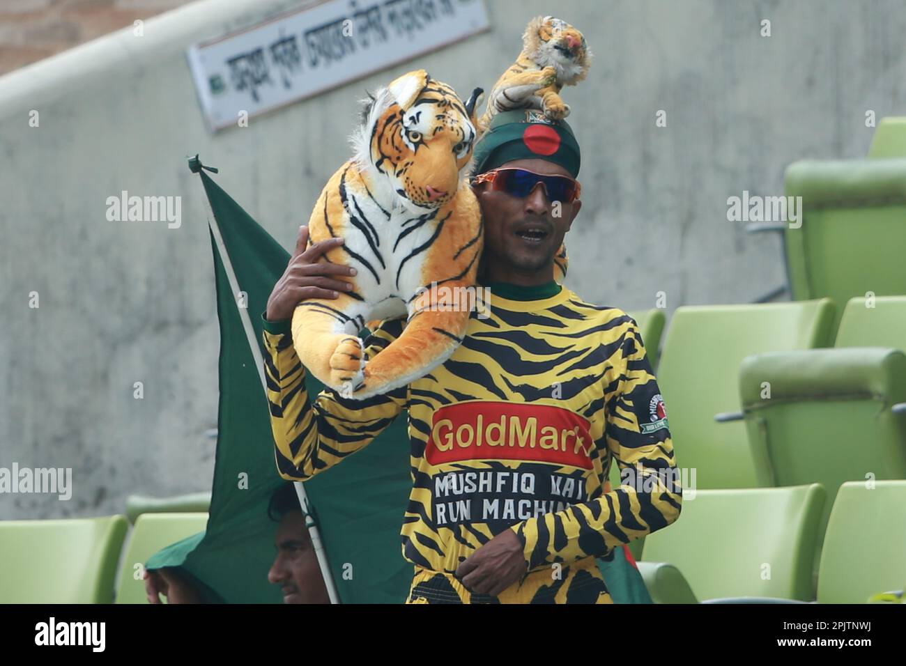 Bangla tiger hi-res stock photography and images - Alamy