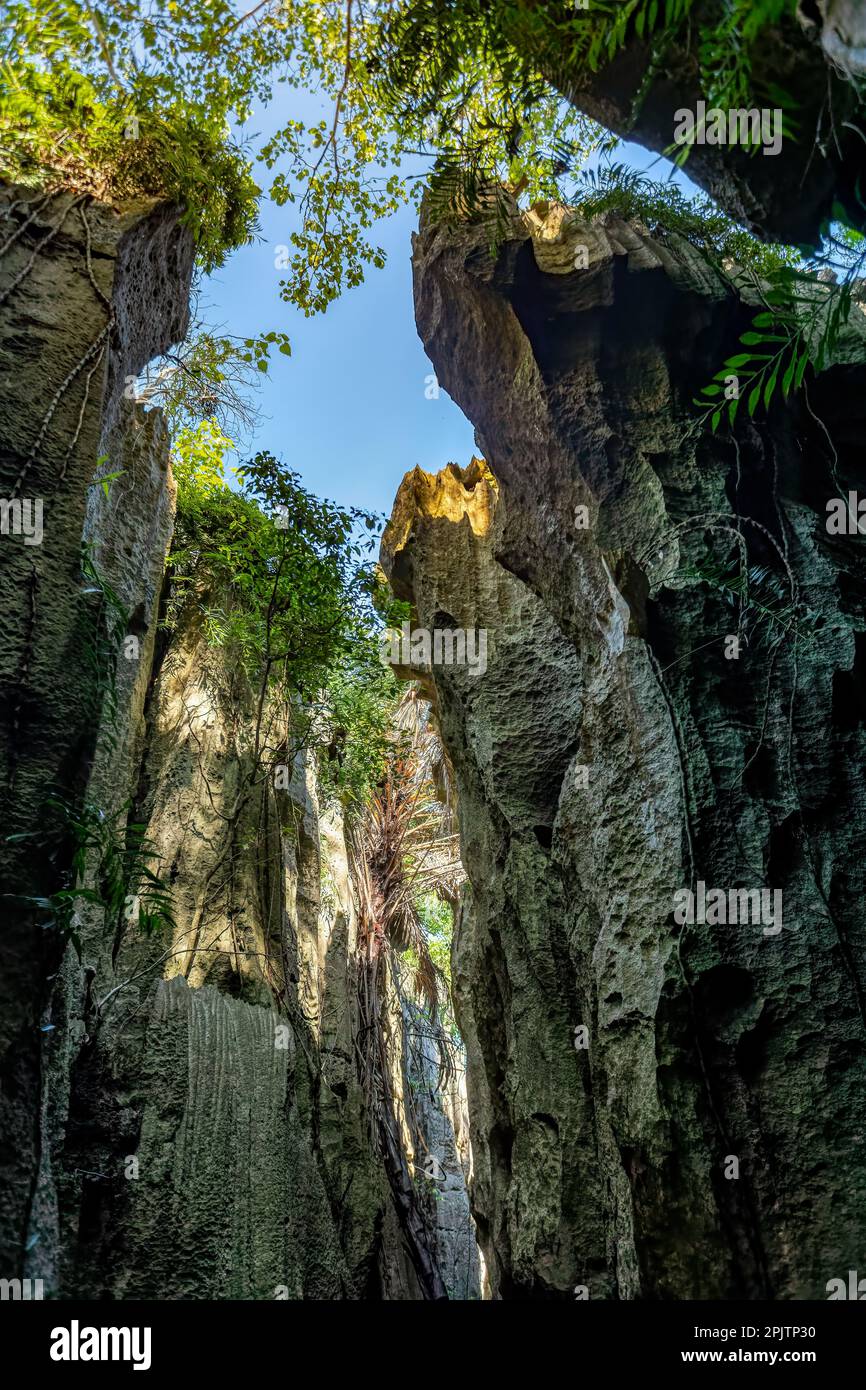 Narrow path between rocks in Petit Tsingy de Bemaraha, Strict Nature ...