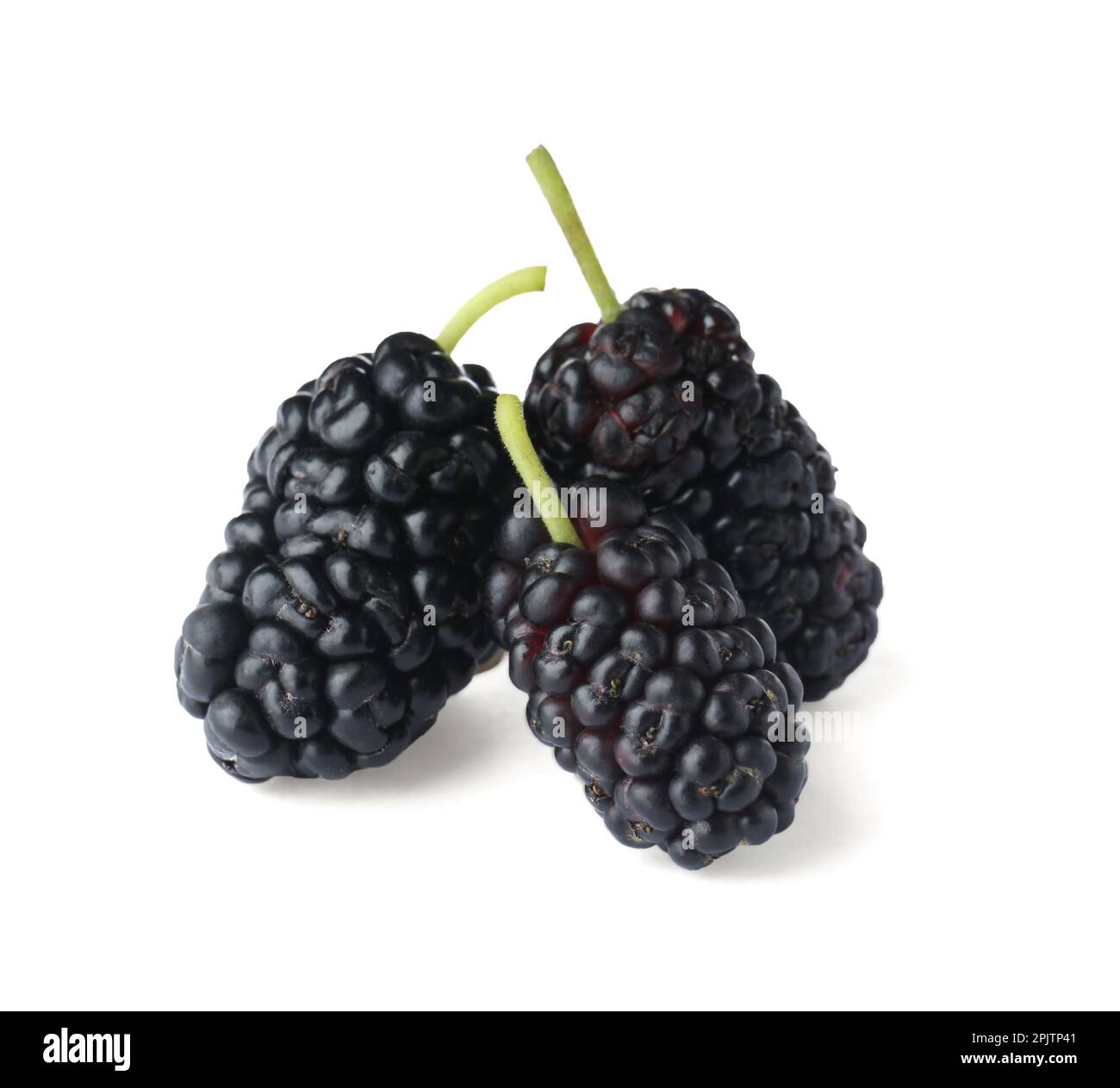 Three ripe black mulberries on white background Stock Photo - Alamy