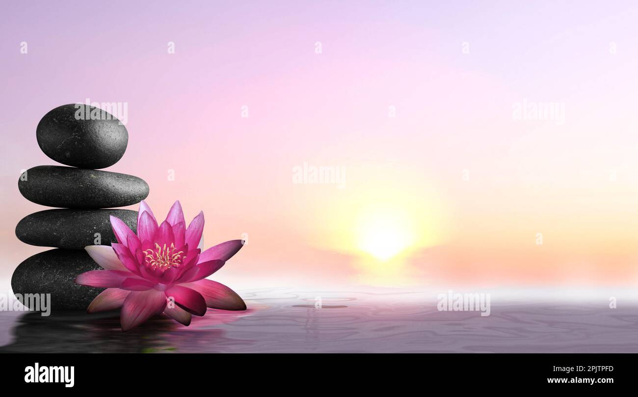 Zen, meditation, harmony. Beautiful lotus flower and stack of stones on ...