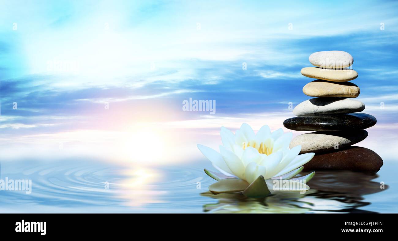 Zen, meditation, harmony. Beautiful lotus flower and stack of stones on ...
