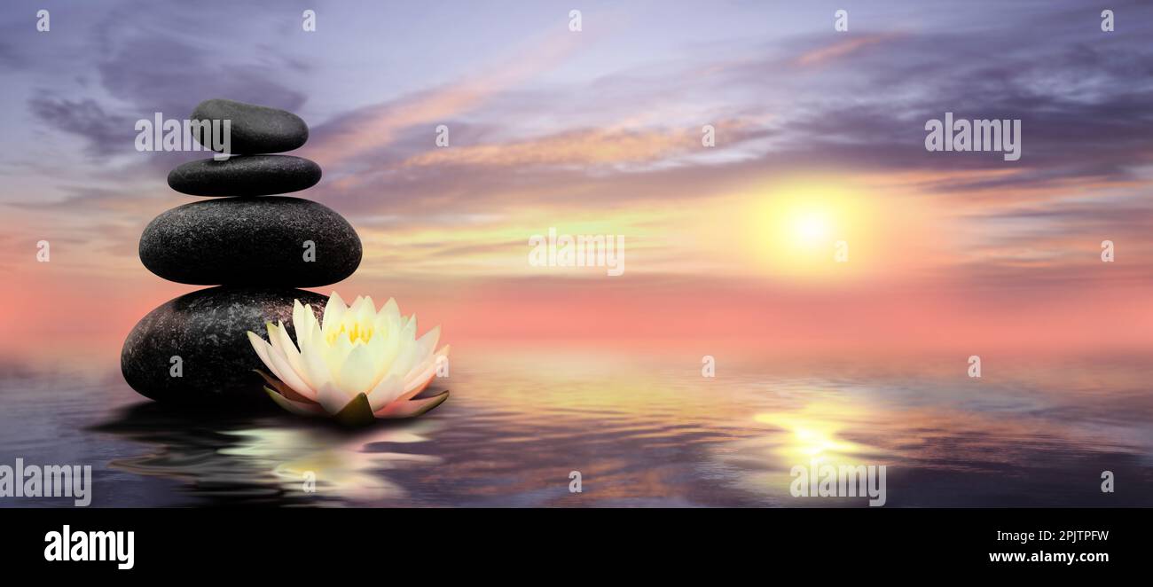 Zen, meditation, harmony. Beautiful lotus flower and stack of stones on ...