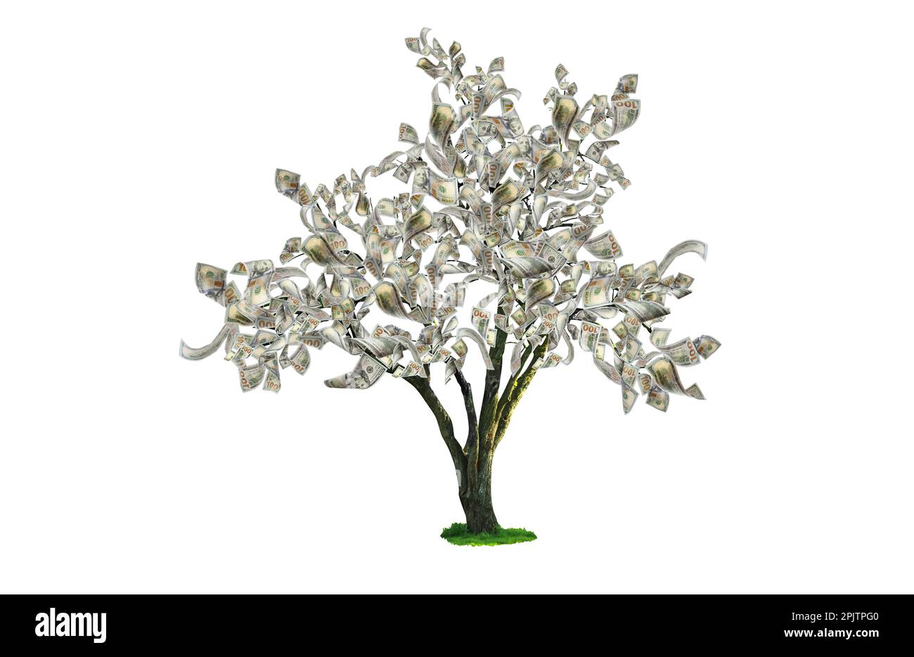 Money tree on white background. Concept of financial growth and passive ...