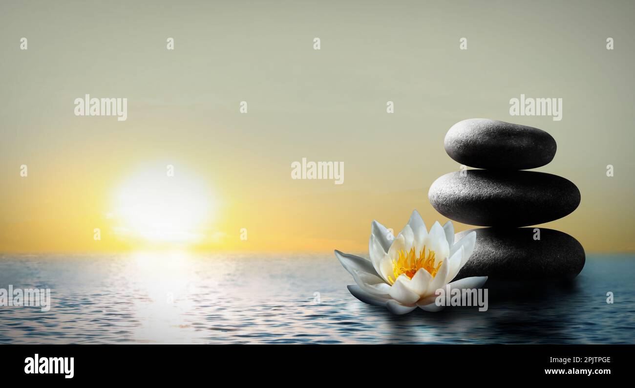Zen, meditation, harmony. Beautiful lotus flower and stack of stones on ...