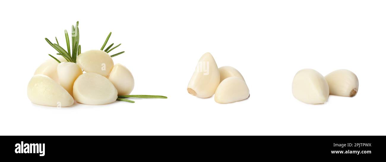 Set with preserved and fresh garlic on white background. Banner design ...