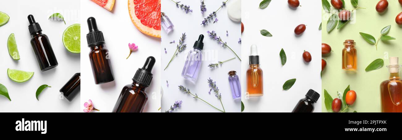 Collage with beautiful photos of different natural essential oils, top ...