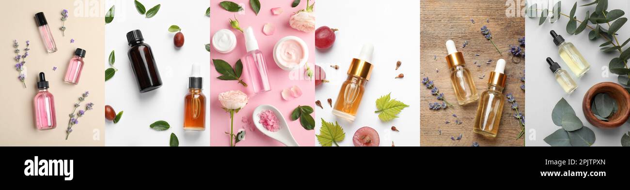 Collage with beautiful photos of different natural essential oils, top ...
