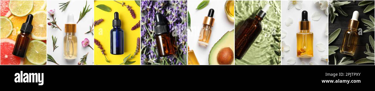 Collage with beautiful photos of different natural essential oils, top ...