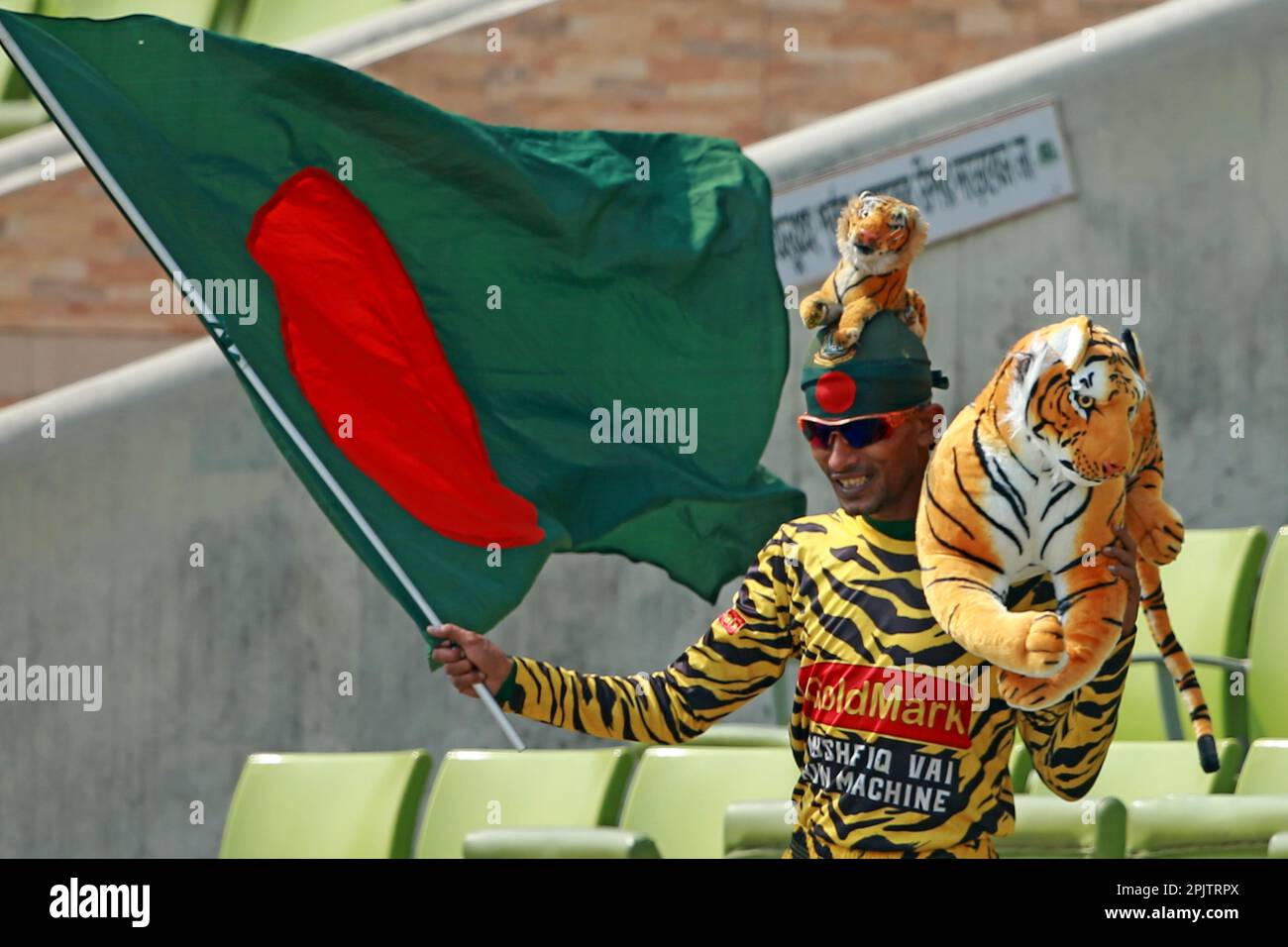 A tiger fan during the alone test match between Bangladesh and Ireland ...