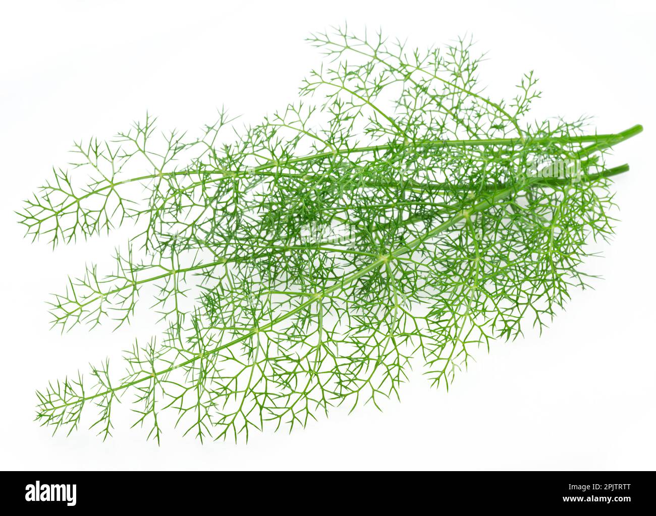 Green dill leaves isolated on white background Stock Photo - Alamy