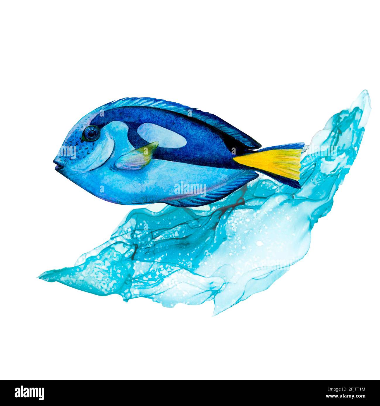 Watercolor drawing of surgeon fish and blue wave on white background ...