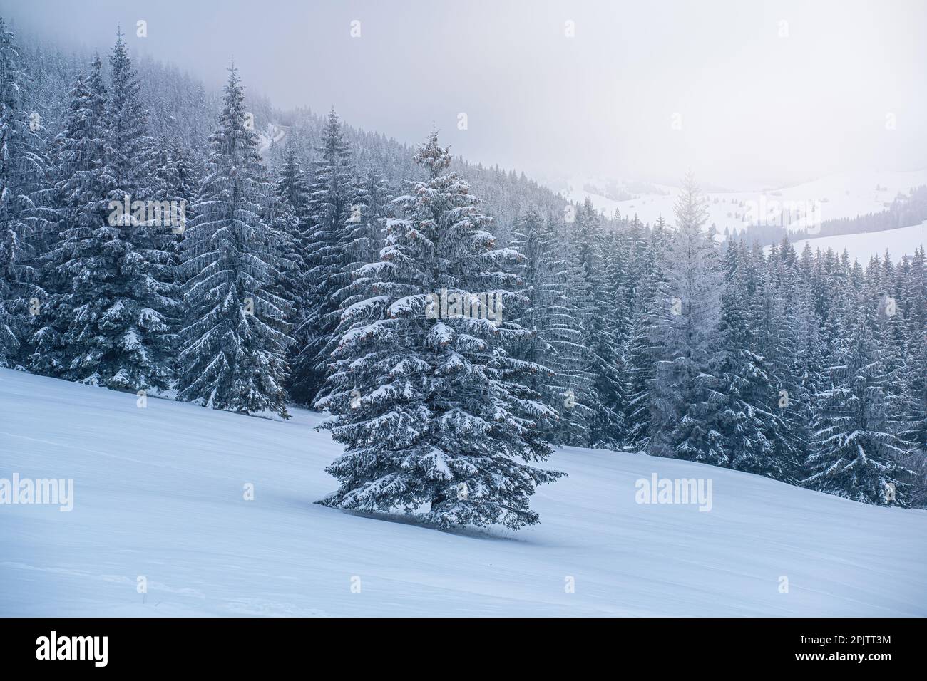 Ski resort during freezing hi-res stock photography and images - Alamy