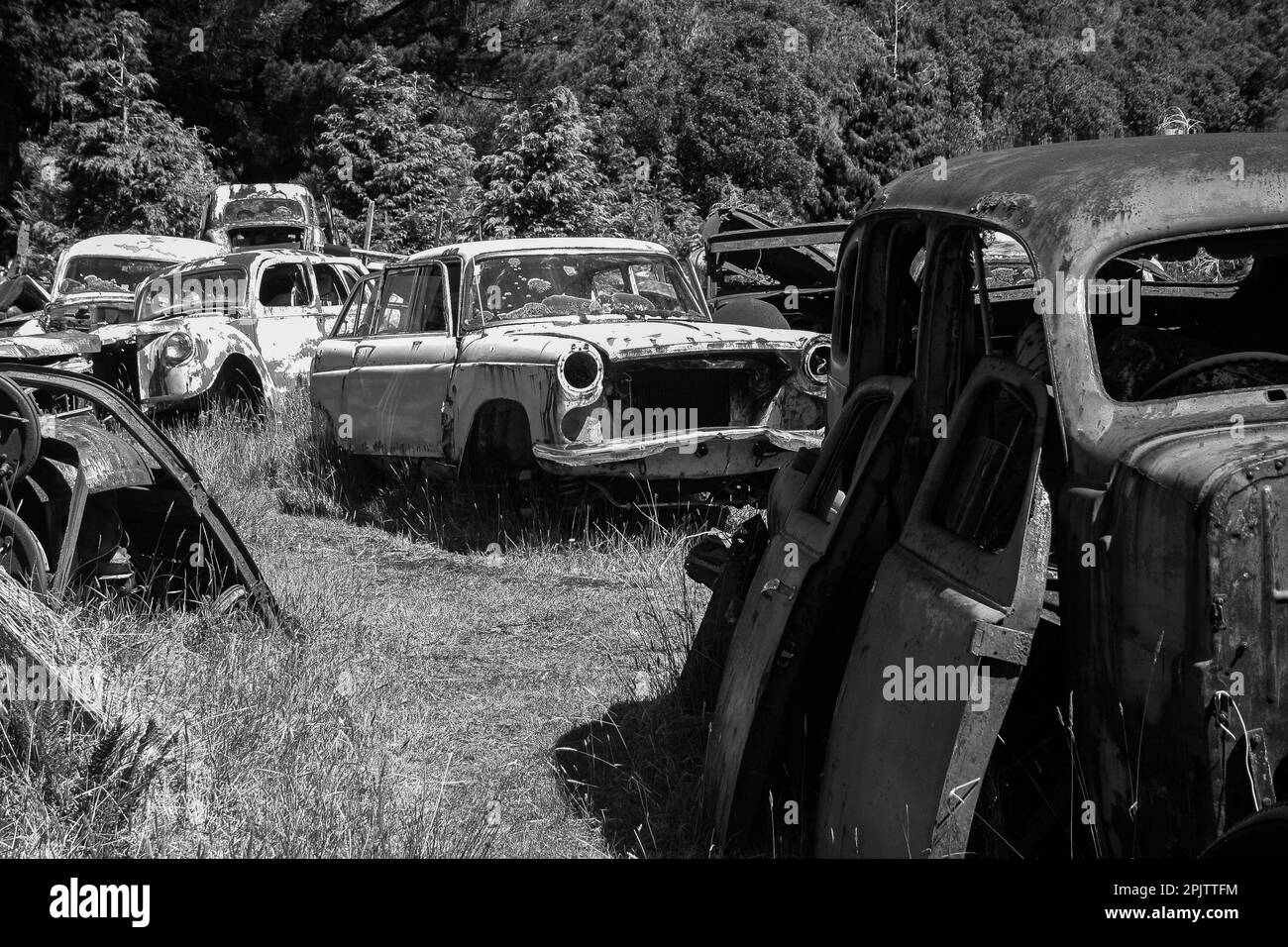Rusty vintage vehicle overgrown Black and White Stock Photos & Images ...