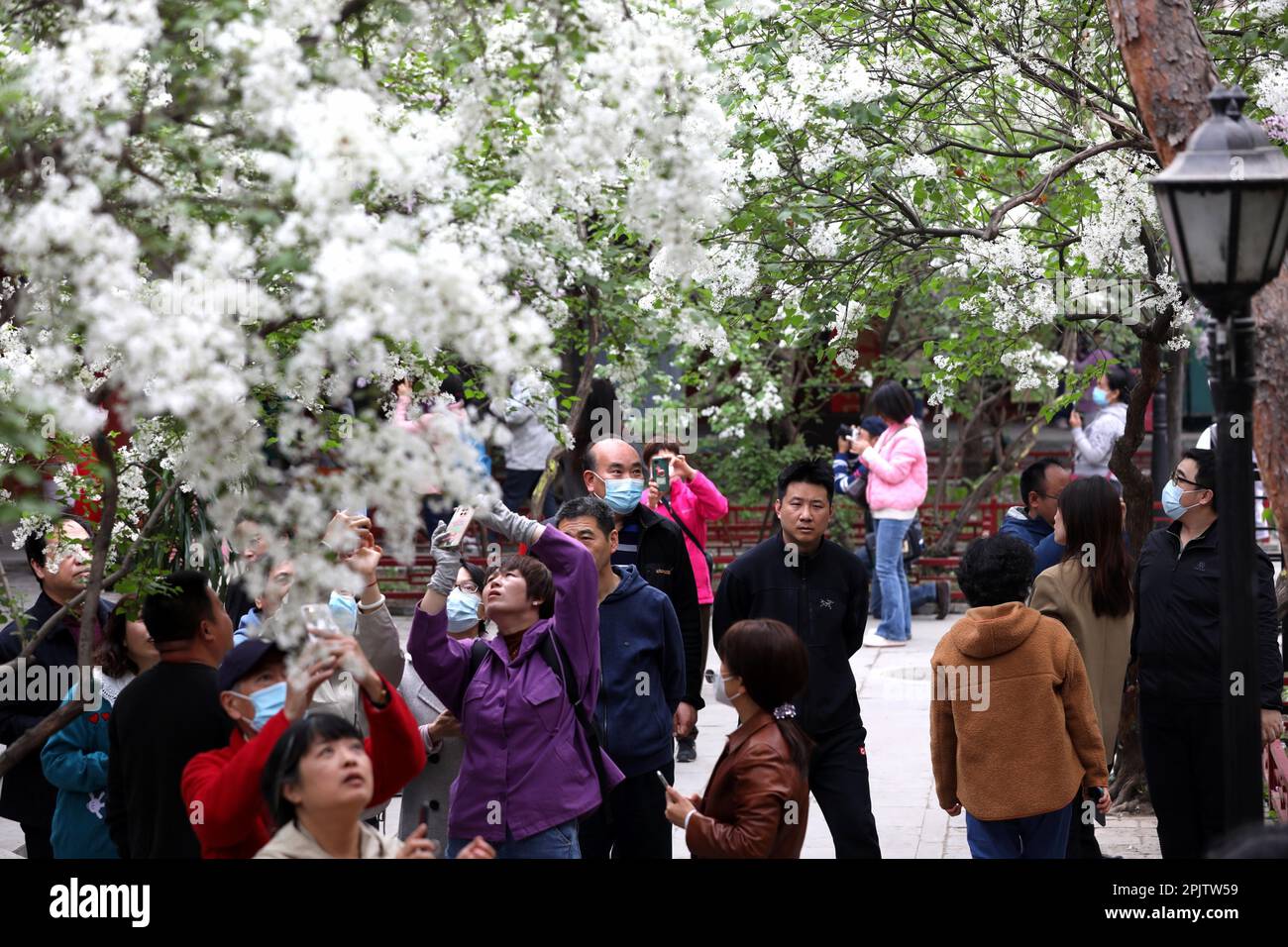 **CHINESE MAINLAND, HONG KONG, MACAU AND TAIWAN OUT** Visitors flock to ...