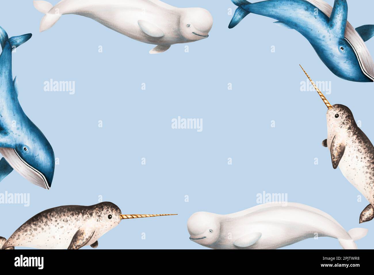 Watercolor frame with beluga, blue whale and narwhal isolated on white ...