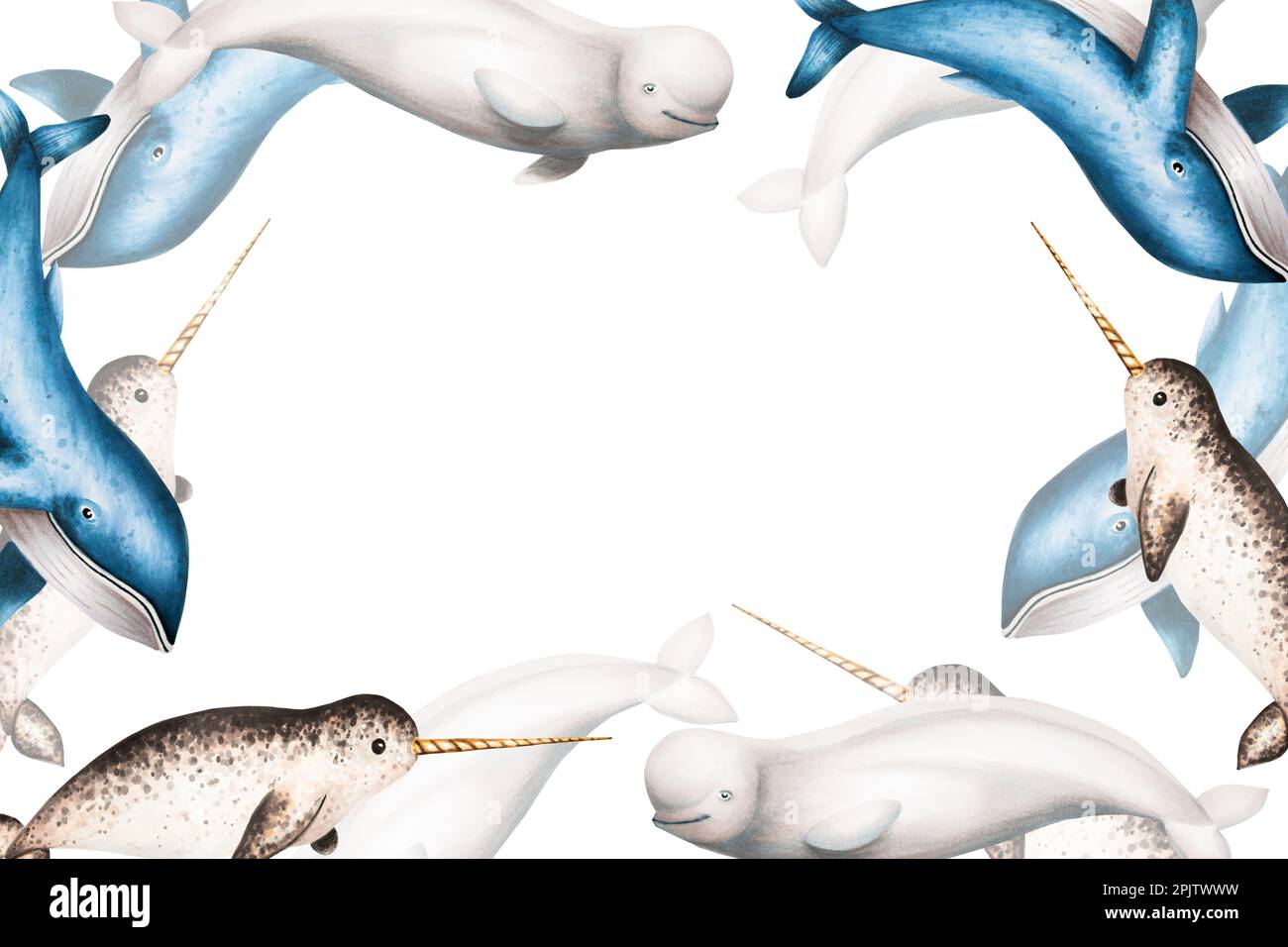 Watercolor frame with beluga, blue whale and narwhal isolated on white ...