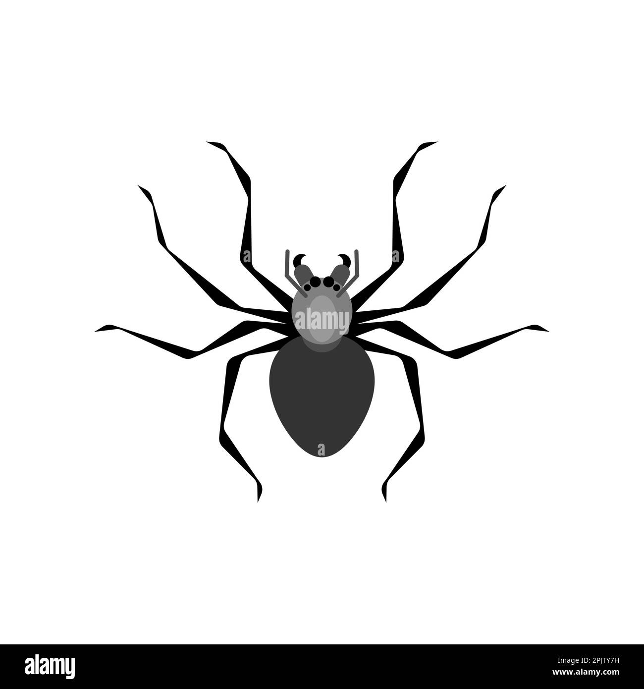 Spider isolated. Poisonous dangerous insect. Vector illustration Stock ...