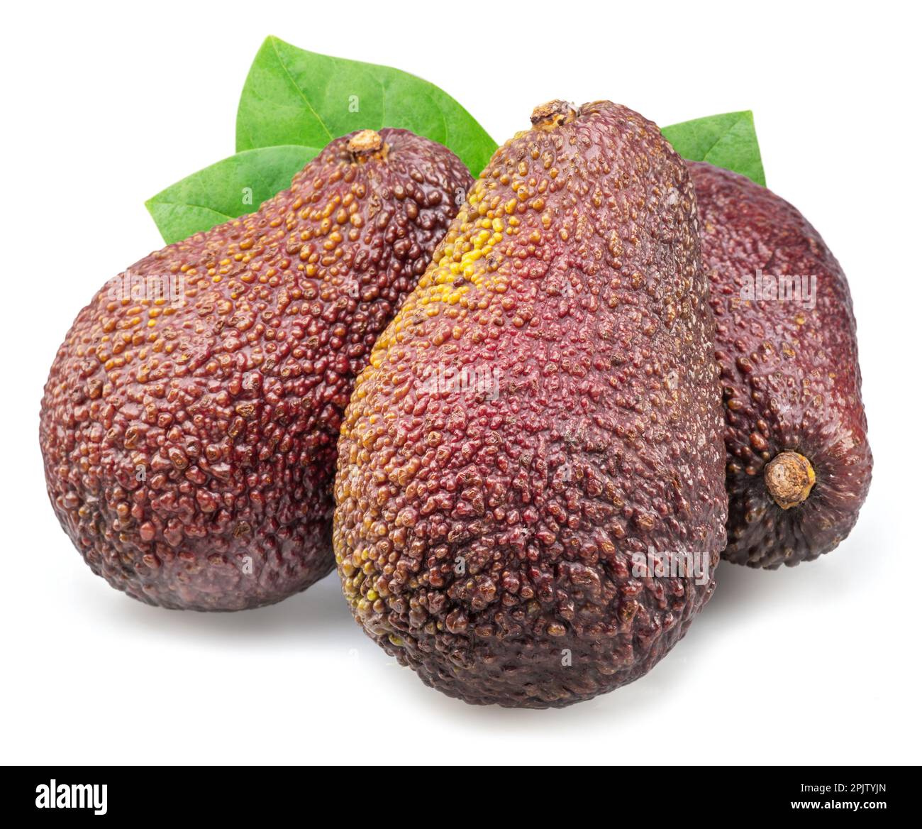 Hass avocado fruits with leaves isolated on white background Stock ...