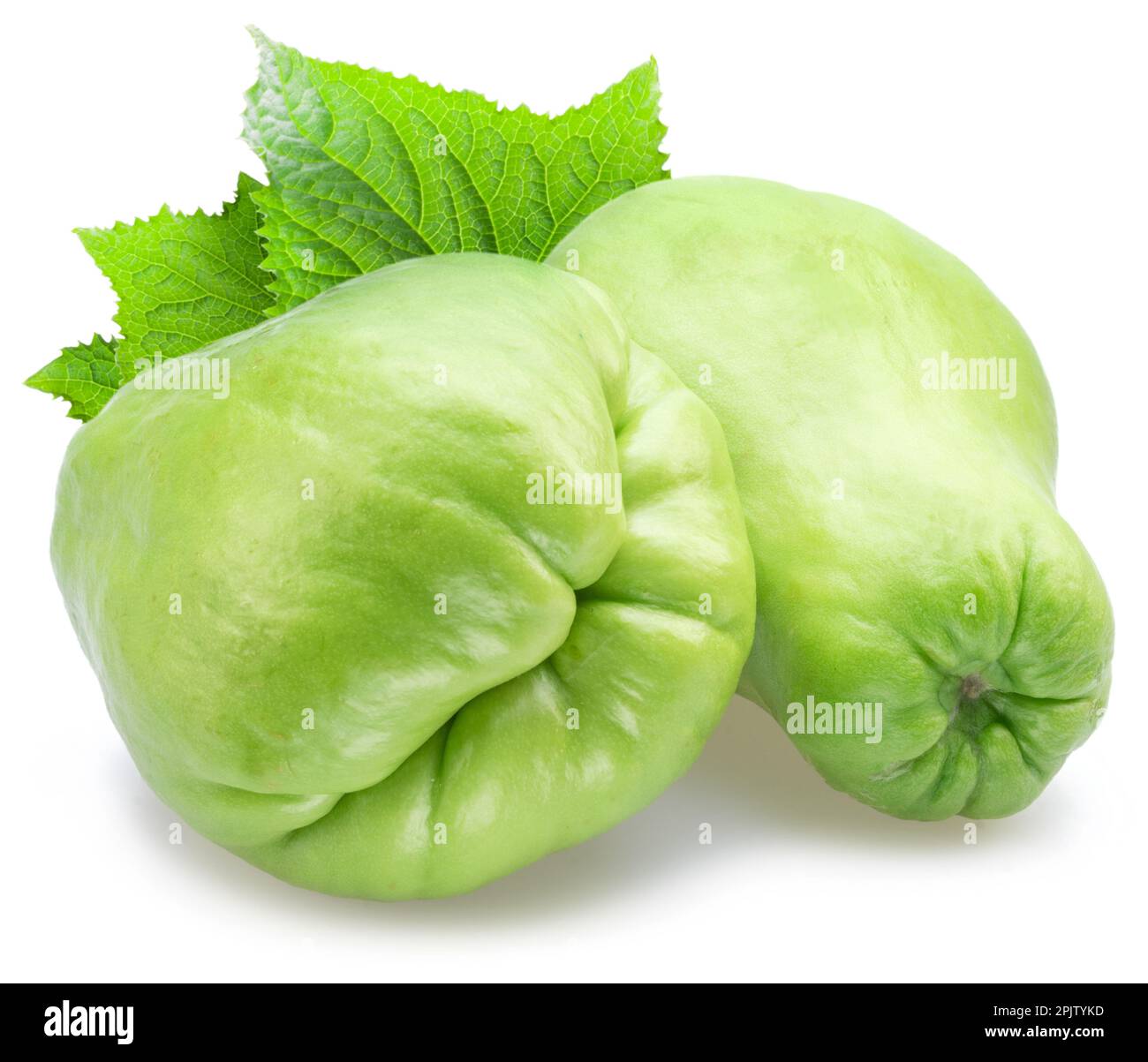 Chayote fruits with leaf isolated on white background Stock Photo - Alamy