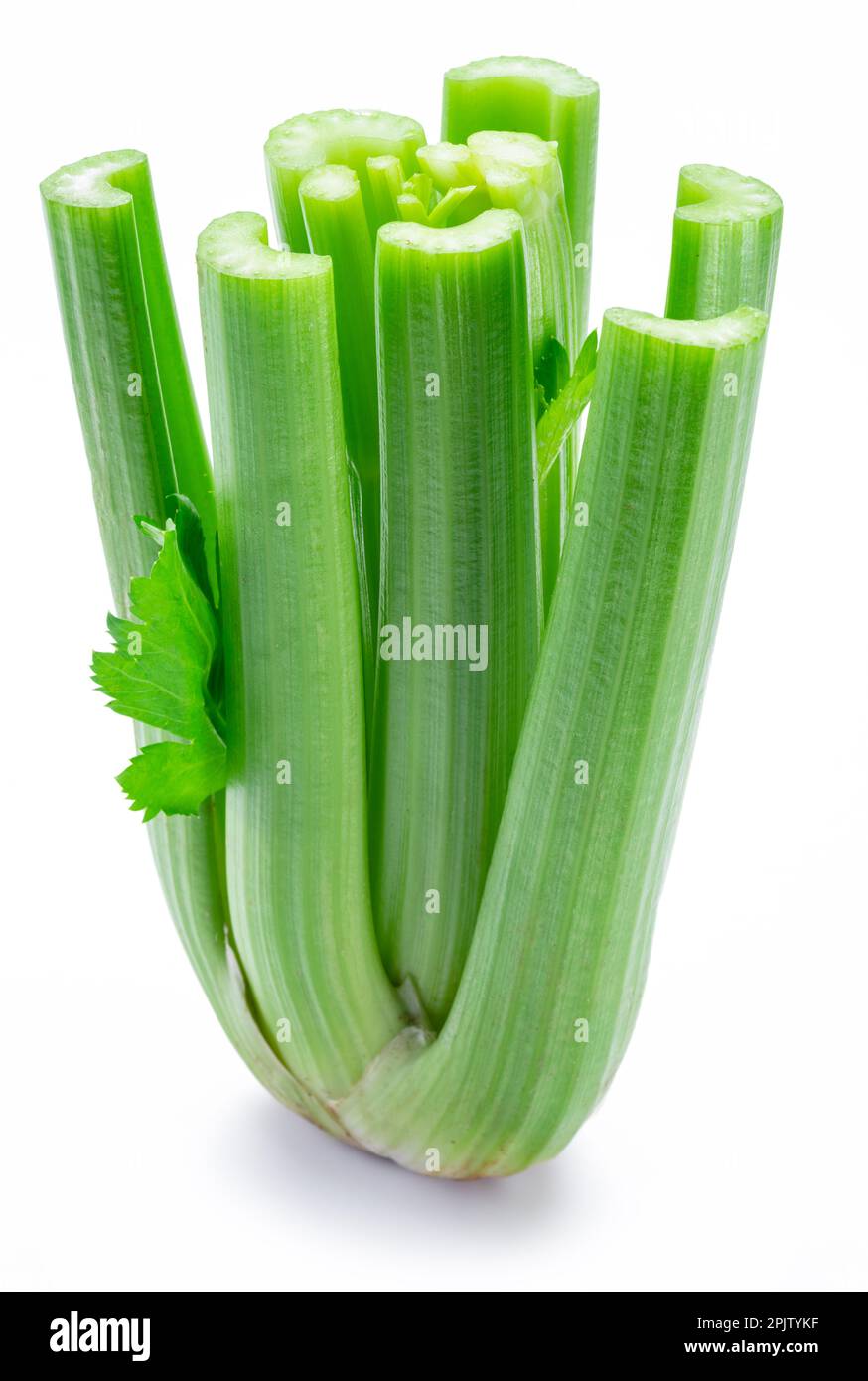 Fresh celery stalk isolated on white background Stock Photo - Alamy