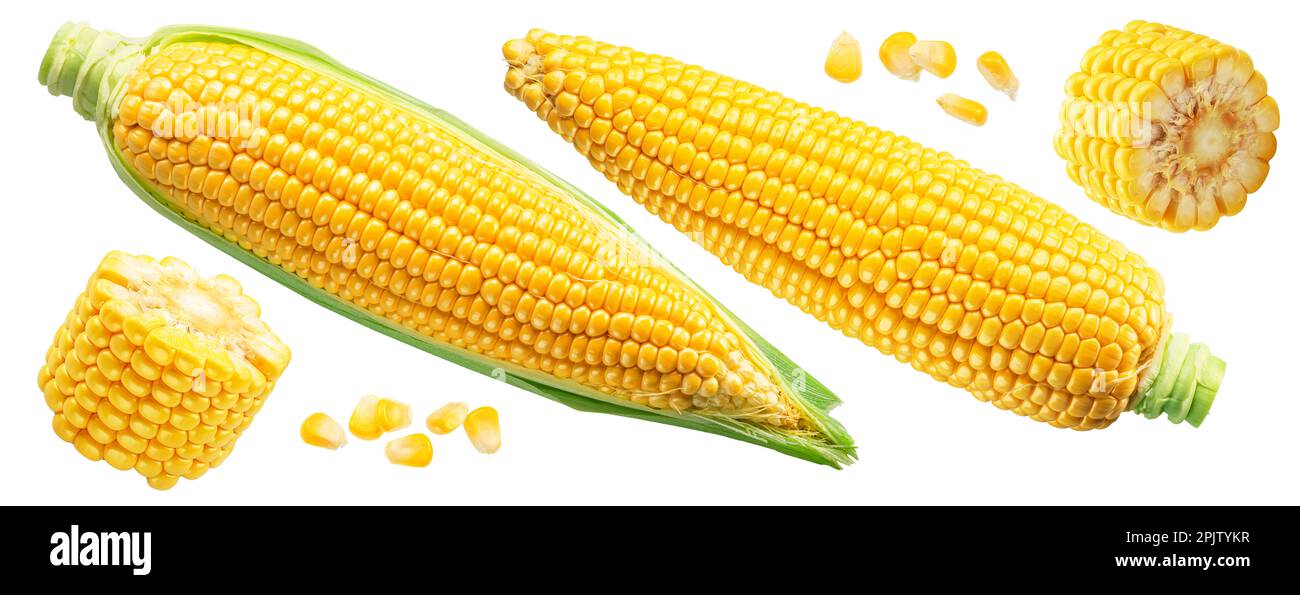 Maize cob or corn cob and corn seeds close up. File contains clipping ...