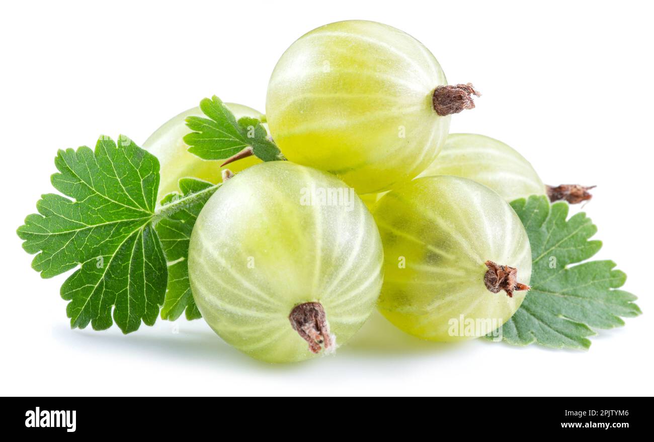 Green ripe gooseberries on white background. Close-up Stock Photo - Alamy