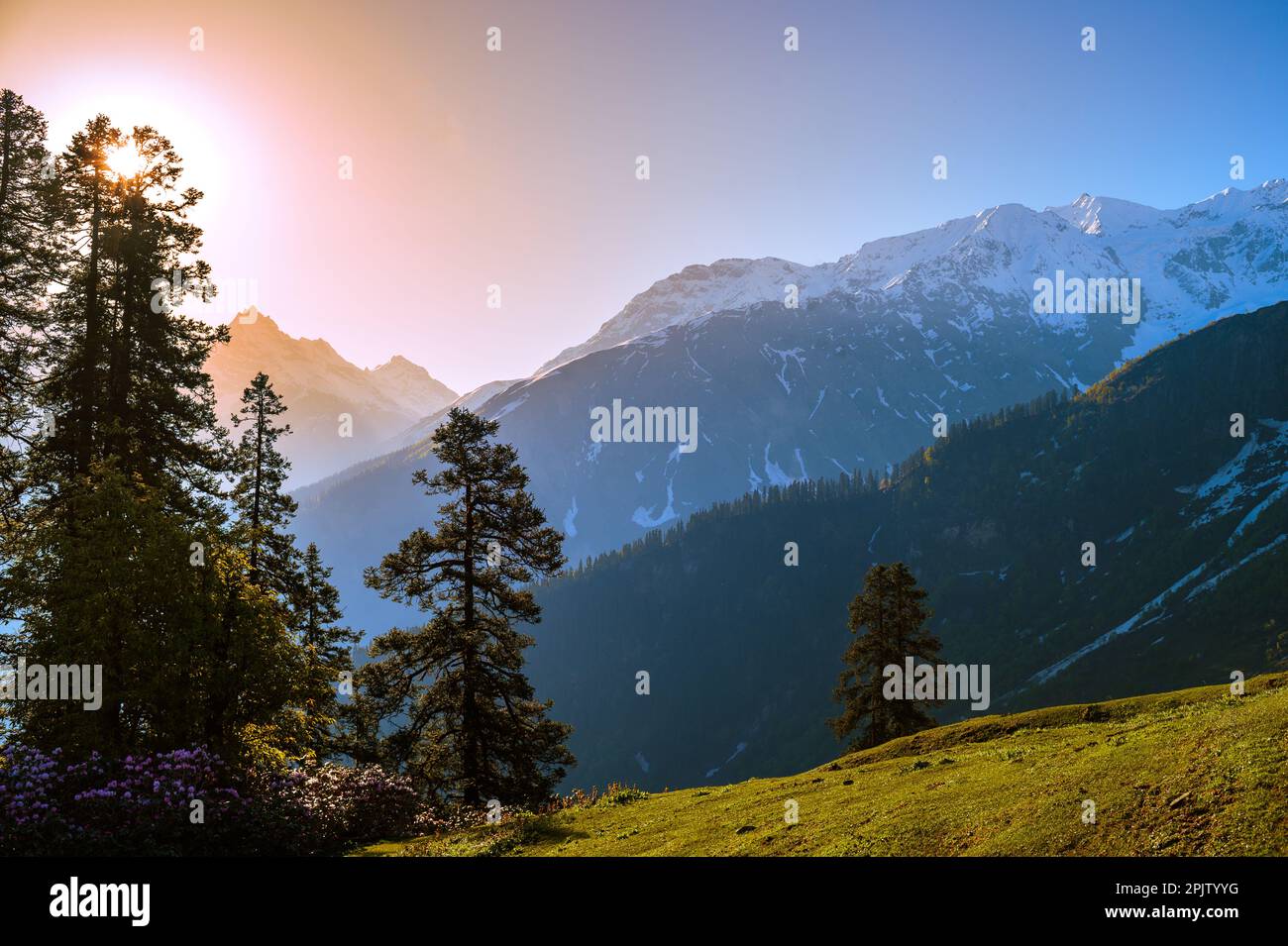 The alpine meadow in the mountains. This is the scenic view of ...