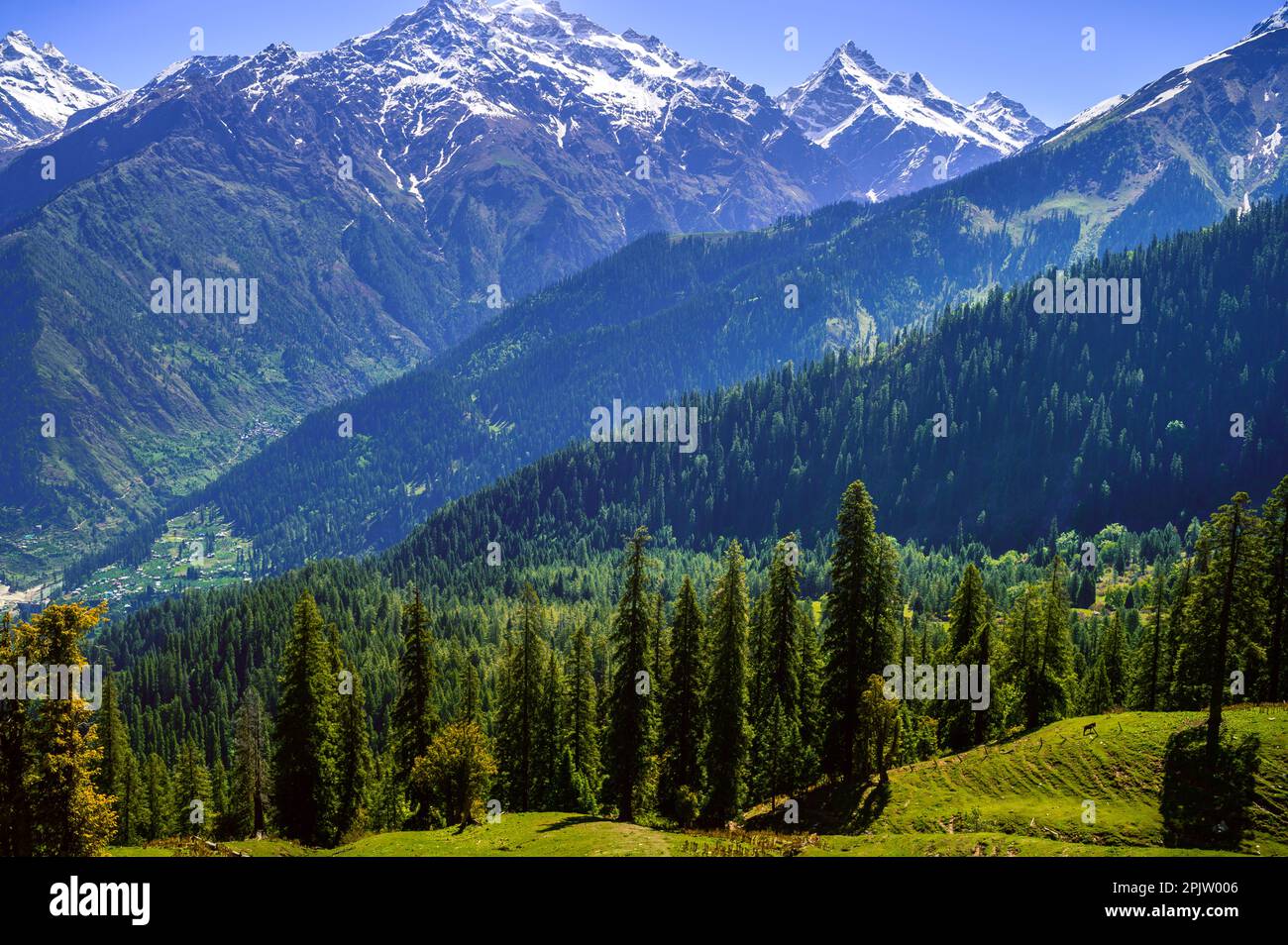 The alpine meadow in the mountains. This is the scenic view of ...